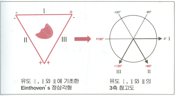 심전도ecg 네이버 블로그