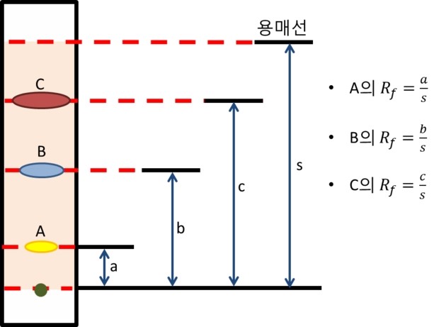 Science Park 530자 실험 Tlc법으로 잎의 색소 분리 네이버 블로그