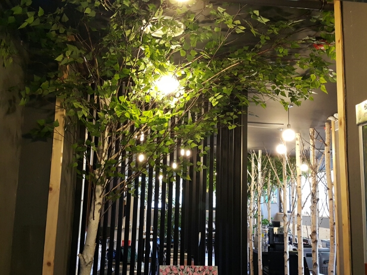 자작나무 기둥 파티션인조나무 인테리어 식당 인테리어 자작나무 숲길 네이버 블로그