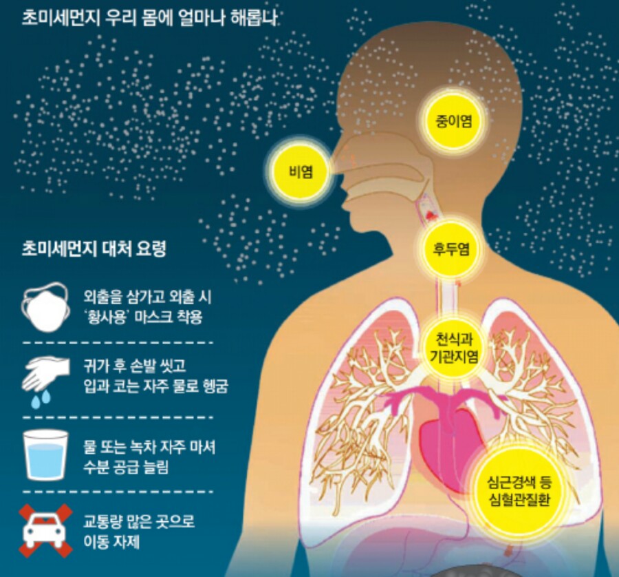 미세먼지 피해 증상 및 대처방법 알아서 남주나요 네이버 블로그
