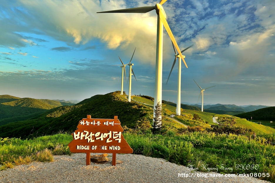 태백 바람의 언덕매봉산바람의언덕태백 고냉지 배추태백 풍력발전기매봉산 풍력발전기 네이버 블로그