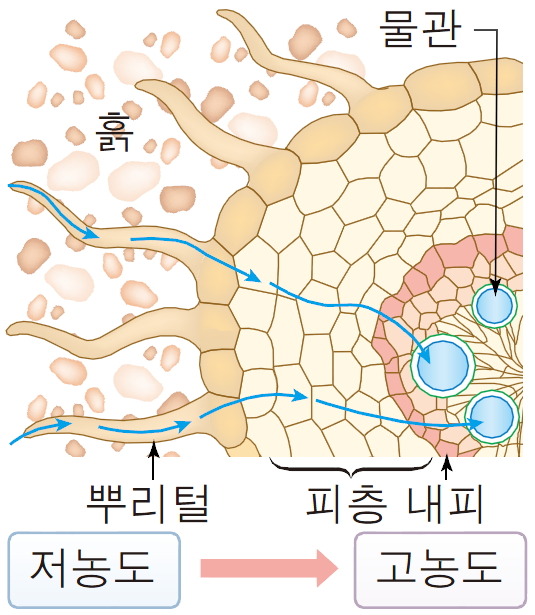 너무도 긴 하루 네이버 블로그