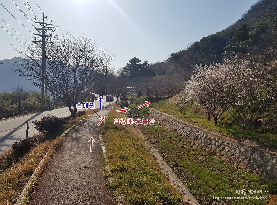 양산 등산코스 임경대 오봉산 용국사 네이버 블로그