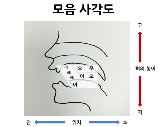 조음위치 조음방법 올바른 혀의 위치 네이버 블로그