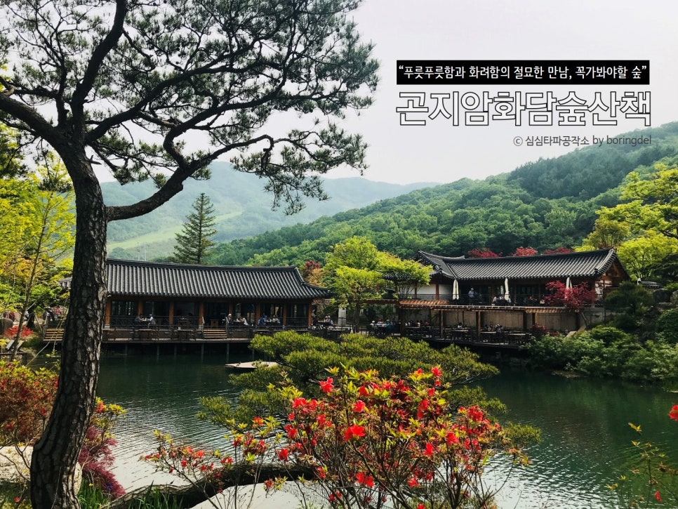 곤지암 가볼만한곳 화담숲 산책 모노레일 이용시간 요금 네이버 블로그