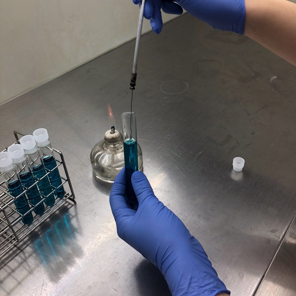 살모넬라salmonella 식품공전 시험법 네이버 블로그