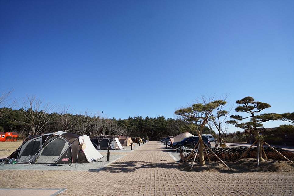울산캠핑장 황방산 생태 야영장 네이버 블로그