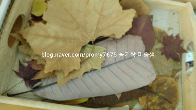 재활용품 Cd케이스 낙엽액자 만들기 유아작품 교실 꾸미기10월 나뭇잎 자연물 미술활동유치원 어린이집 가을환경구성 네이버 블로그
