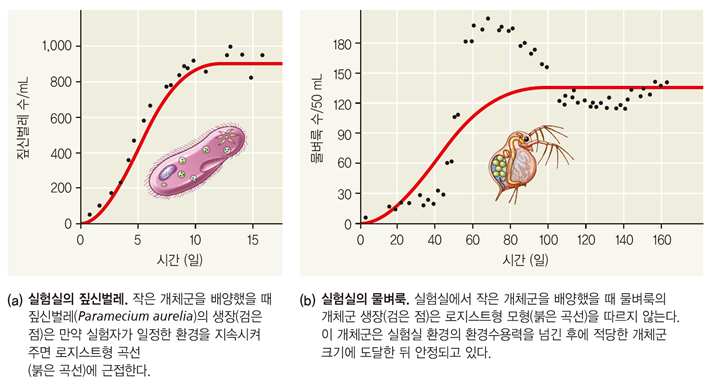 개체군의 특성 및 개체군 내 상호작용 네이버 블로그