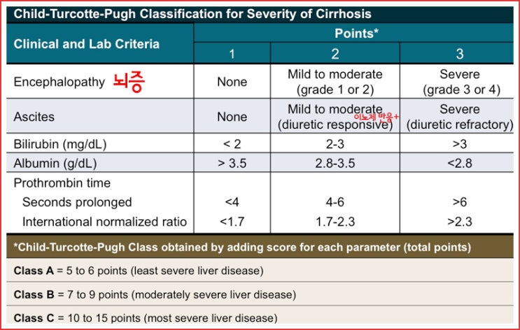 Child-Turcotte-Pugh / MELD SCORE (말기 간질환자) : 네이버 블로그
