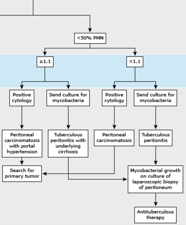 복수의 감별 진단, Differential diagnosis of ascites, algorithms : 네이버 블로그
